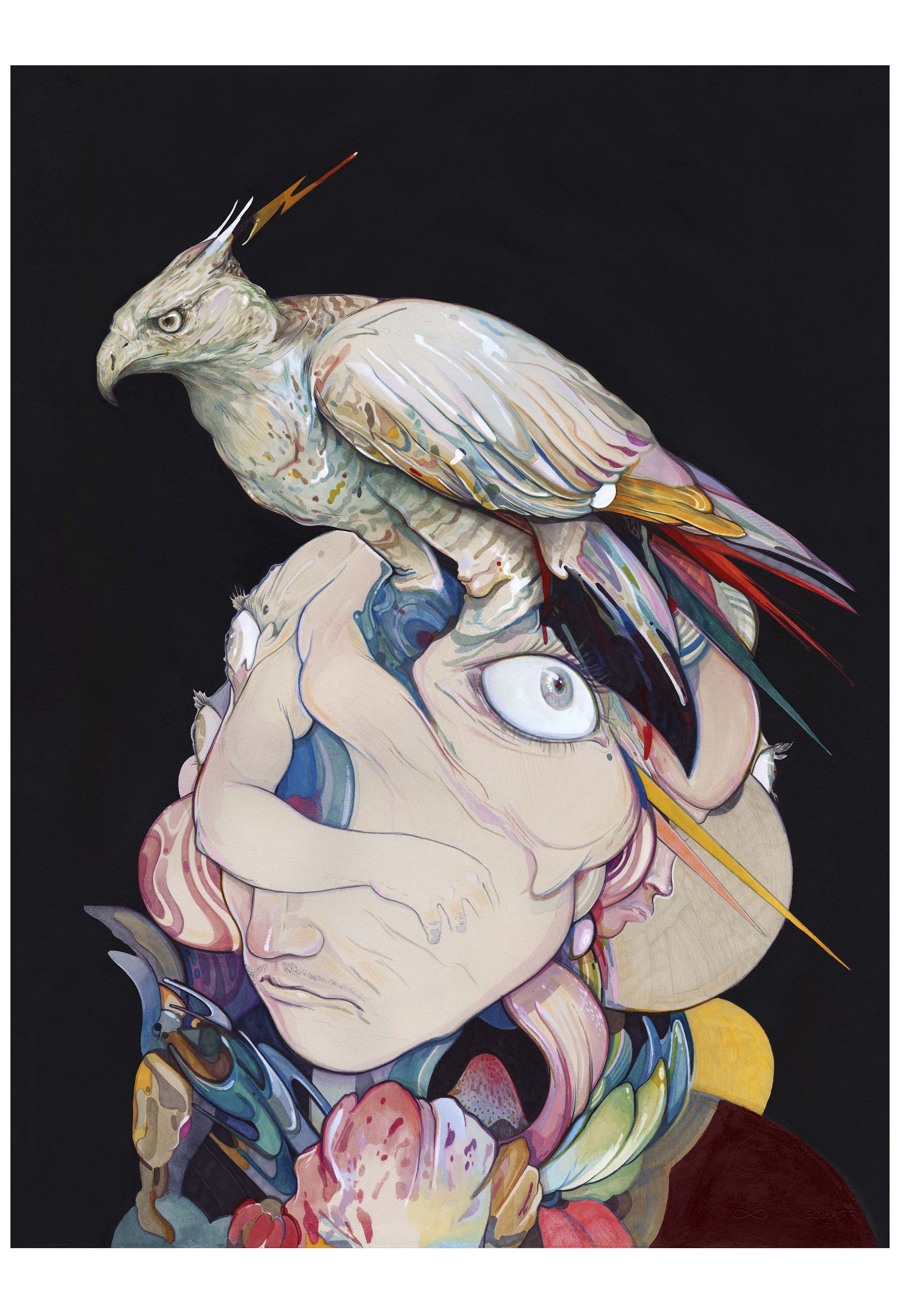 Jose Mertz – Heliotrope Prints